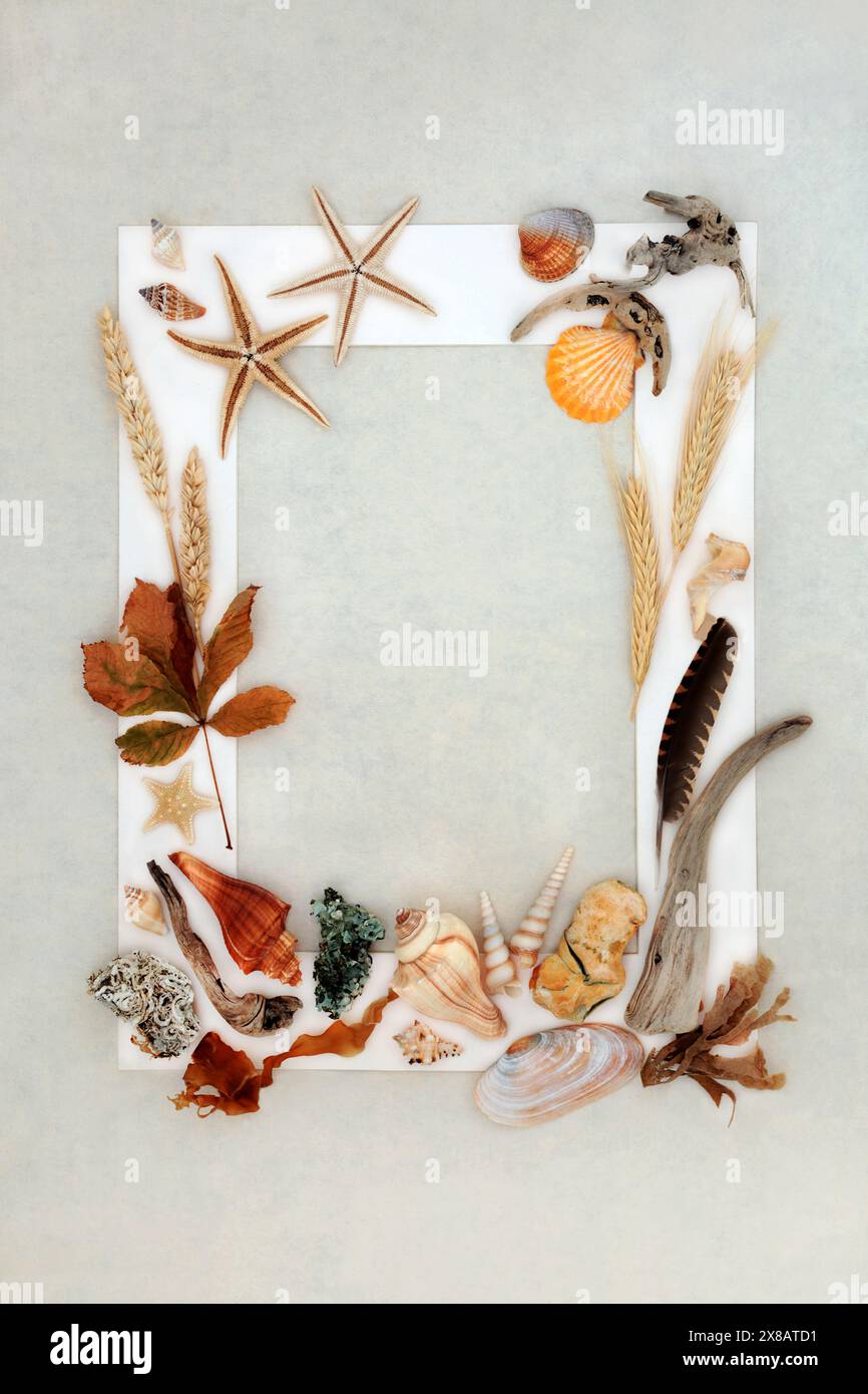 Natural nature objects beautiful assortment with feathers, driftwood ...