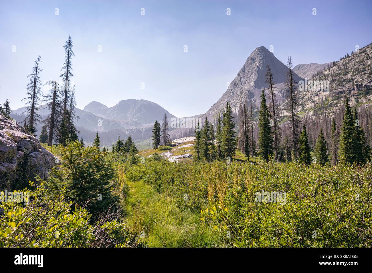 Buffalo Peak in the Weminuche Wilderness, Colorado Stock Photo - Alamy
