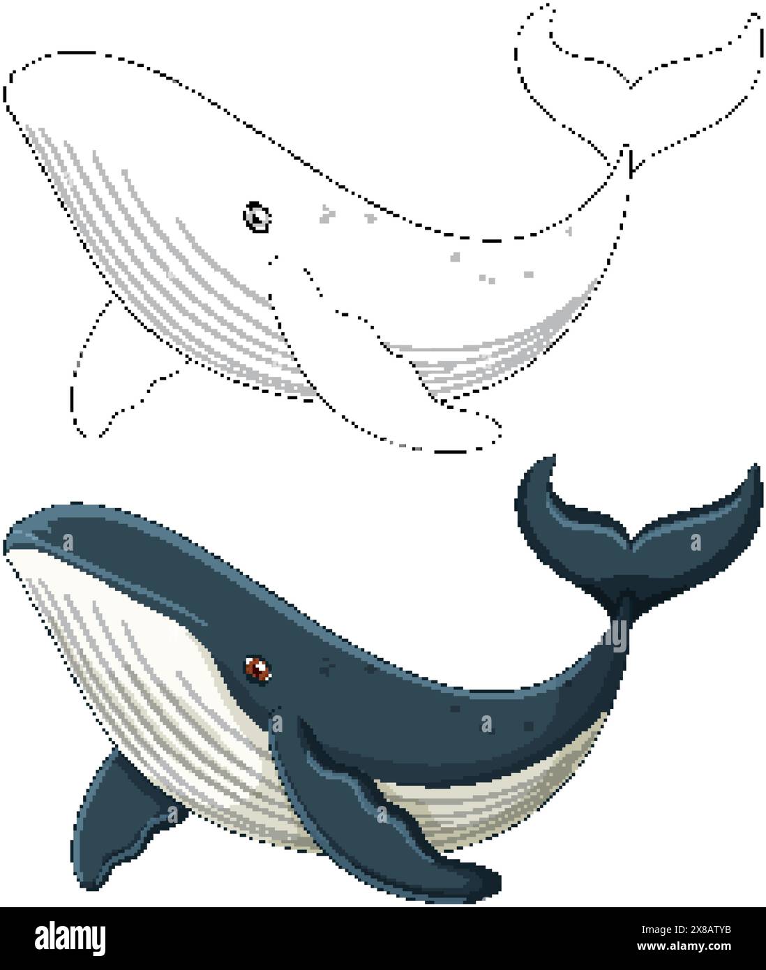 Two whales, one colored, one outlined Stock Vector Image & Art - Alamy