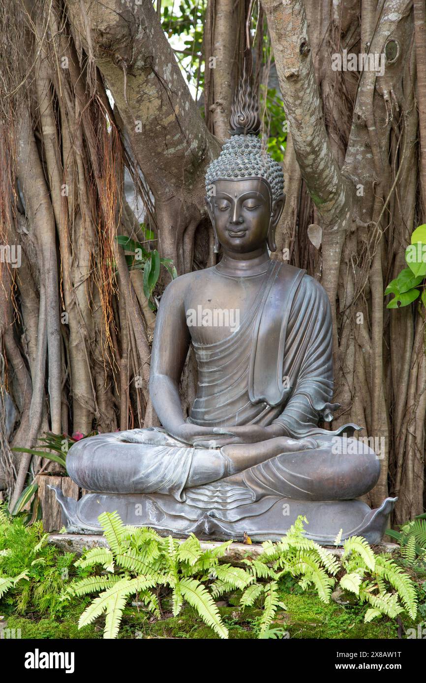 Bronze Buddha statue at a zen garden in Thailand Stock Photo - Alamy
