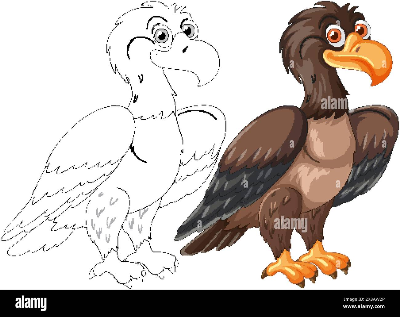 Vector of a bird in color and outline Stock Vector Image & Art - Alamy