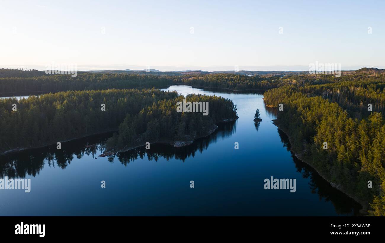 Aerial Panoramic View of Solitary Tree Lake Reflection Stock Photo - Alamy