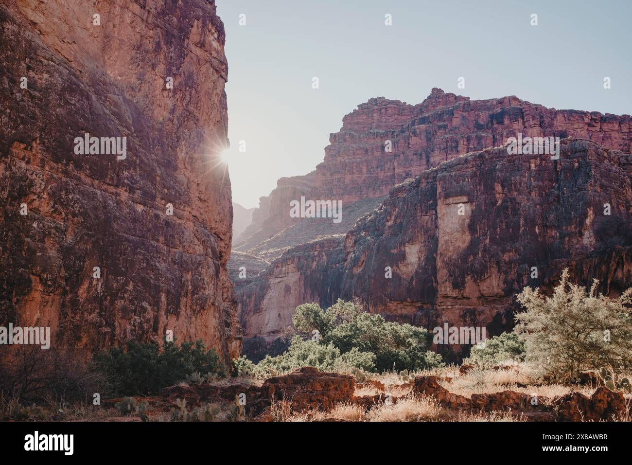 The rising sun flares behind red rocks in a canyon Stock Photo - Alamy