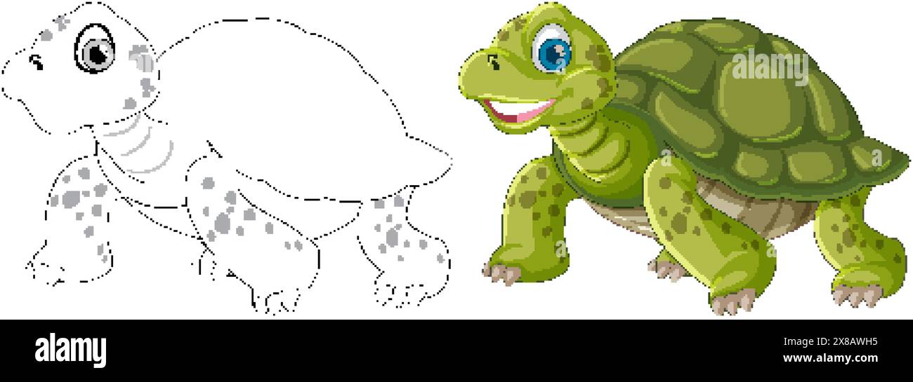 Turtle in outline and colored versions Stock Vector Image & Art - Alamy