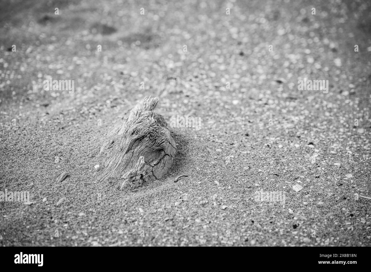 Dunes on adriatic sea Black and White Stock Photos & Images - Alamy