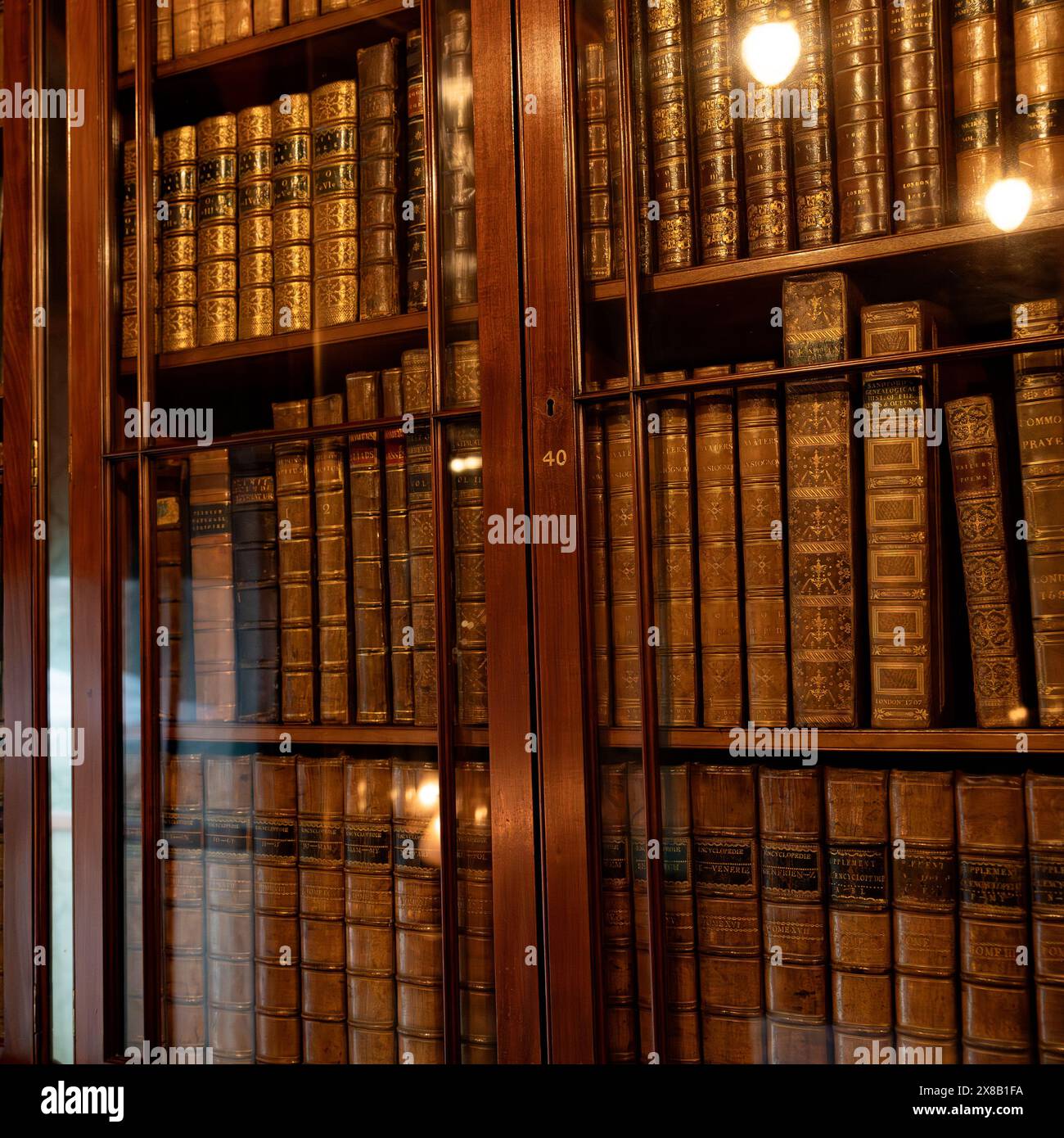 Overflowing bookshelves hi-res stock photography and images - Alamy