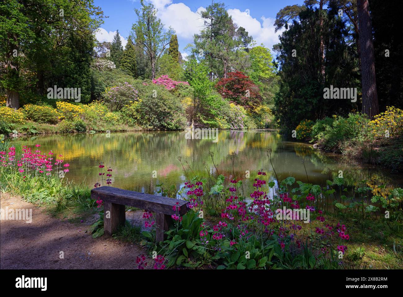 Leonardslee Lakes and Gardens Horsham Sussex UK Stock Photo - Alamy