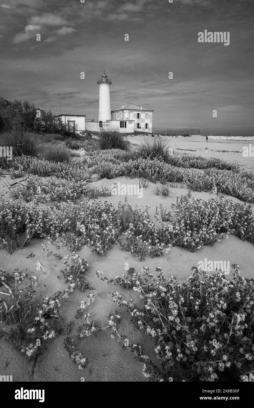 Dunes on adriatic sea Black and White Stock Photos & Images - Alamy