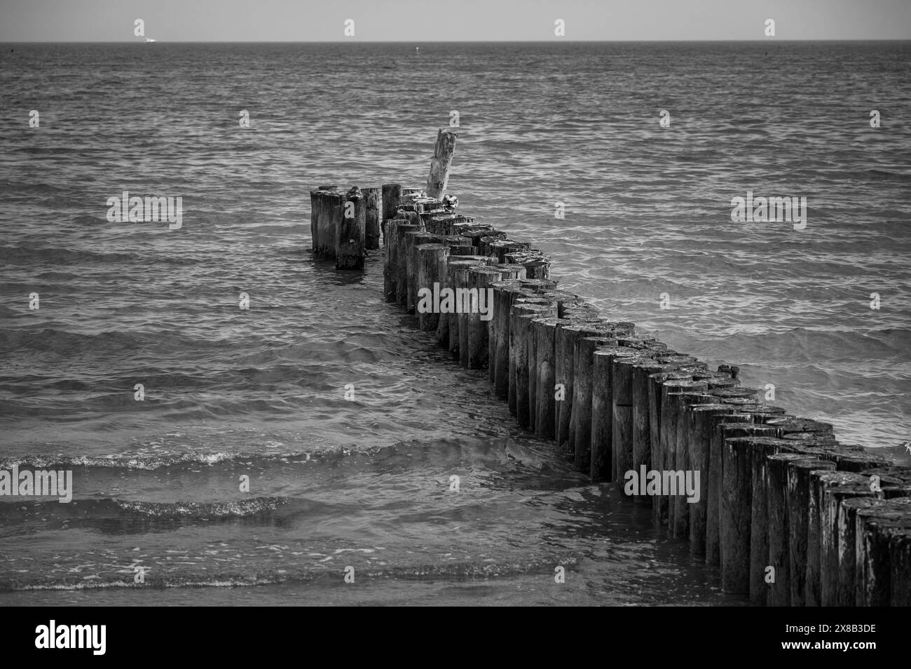 Dunes on adriatic sea Black and White Stock Photos & Images - Alamy