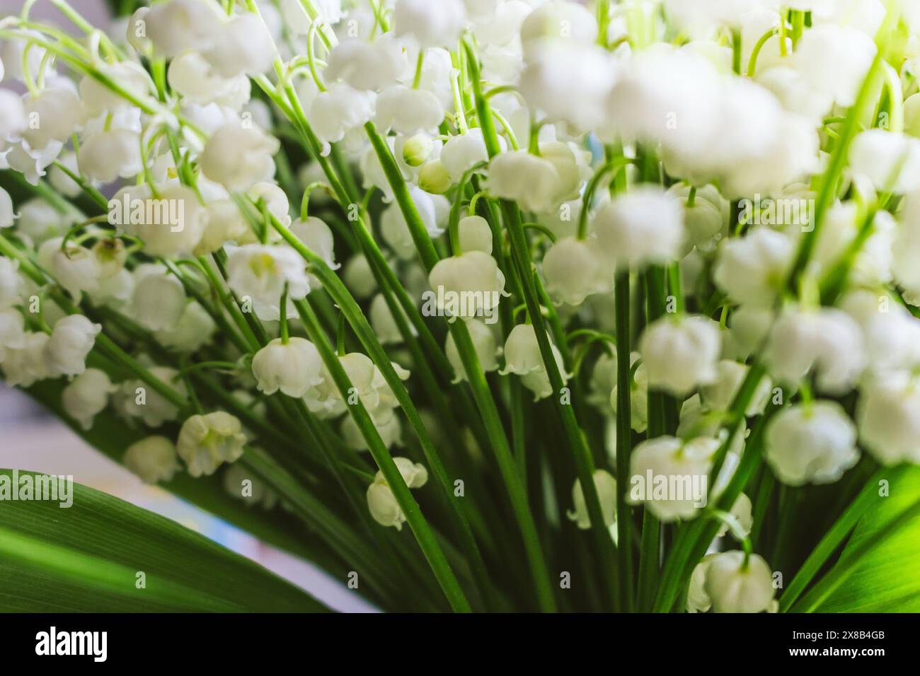 Beautiful lily of the valley bouquet, close up. Idyllic lily of the ...