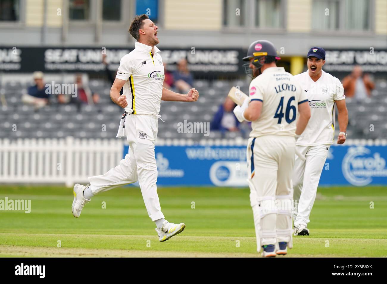 Bristol, UK, 24 May 2024. Gloucestershire's Beau Webster celebrates ...
