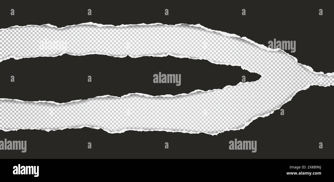 Black paper strips with torn edges and soft shadow are on squared ...