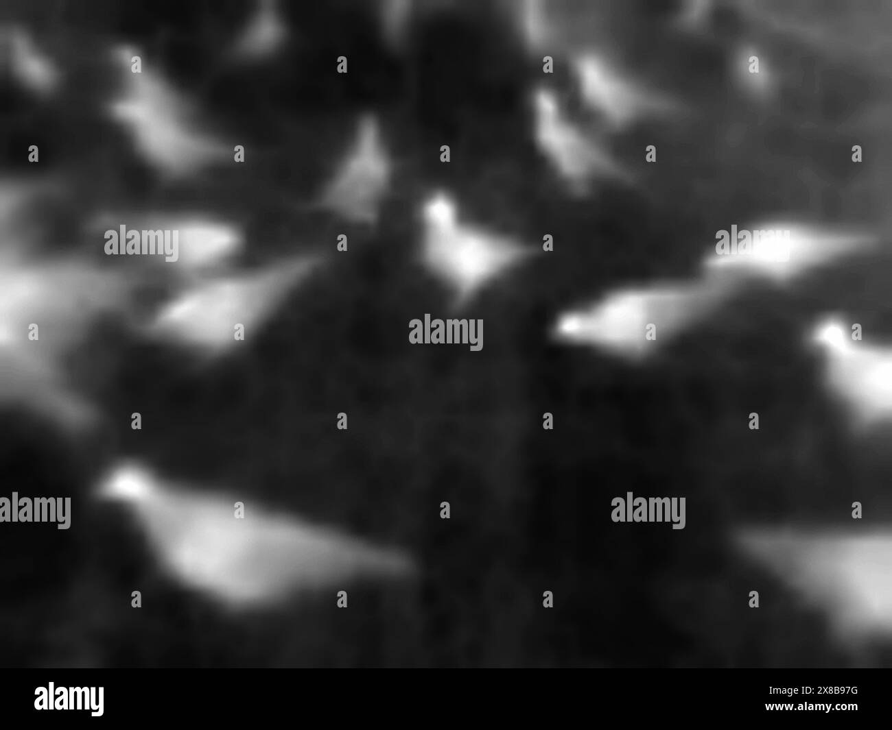 Peaceful birds dance, the doves of peace. Modified Image from thermal ...