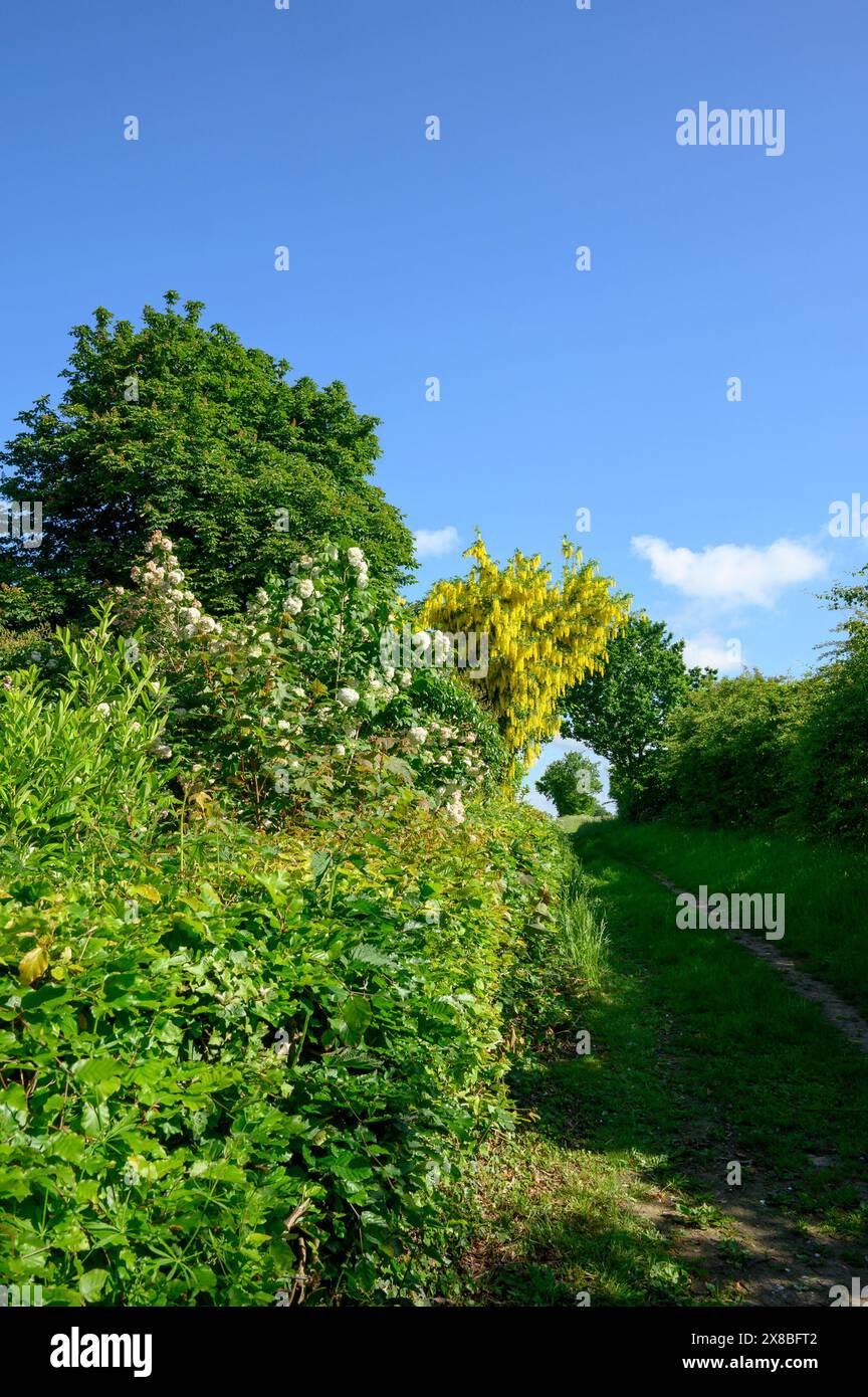 Chart Sutton, near Maidstone, Kent, UK. Public footpath through ...