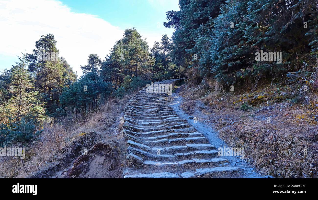 Off Road Trekking For Sailung Gumpa, Sailung, Nepal Stock Photo - Alamy