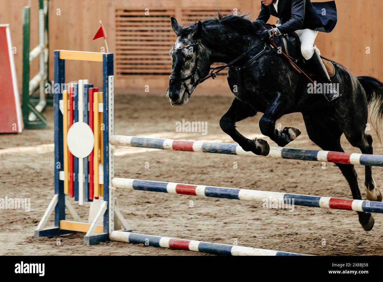 show jumping race dark bay horse jumping over obstacles Stock Photo - Alamy