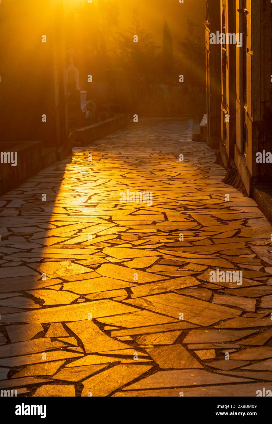 Orange sunlight on the paved ground of a cemetery Stock Photo - Alamy