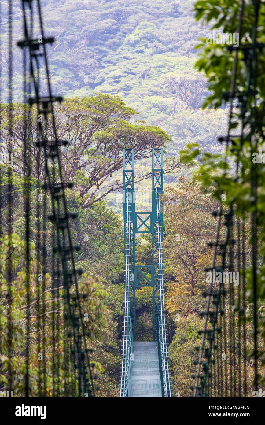 Suspension hanging bridge in Monteverde cloud forest reserve in ...