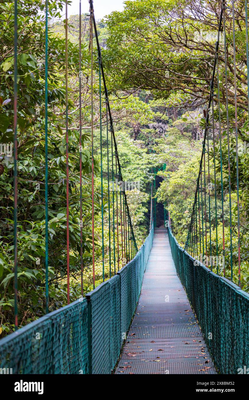 Suspension hanging bridge in Monteverde cloud forest reserve in ...