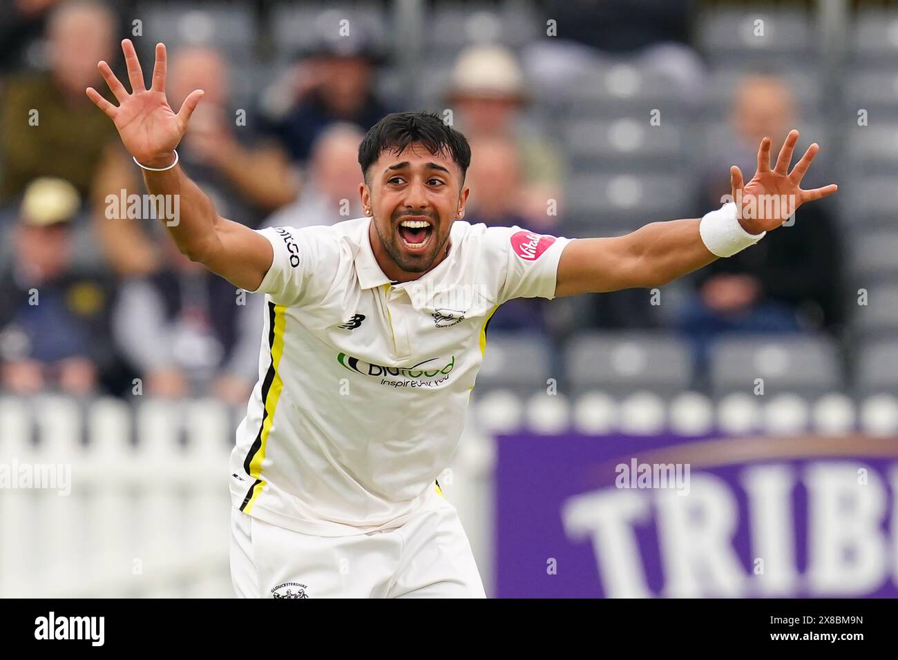 Bristol, UK, 24 May 2024. Gloucestershire's Ajeet Singh Dale appeals for LBW during the Vitality ...