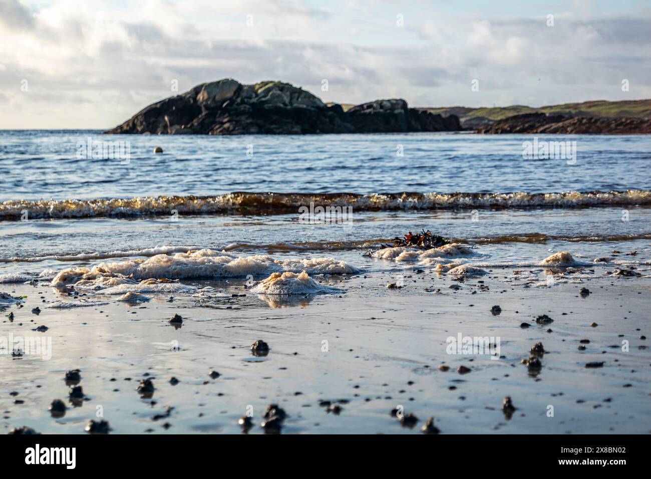 Blow lugworm poo on the west coast of Ireland - Arenicola Marina Stock ...