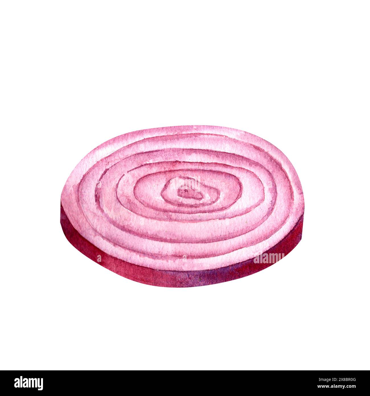 Cut slice onion, watercolor illustration, isolated on white background ...