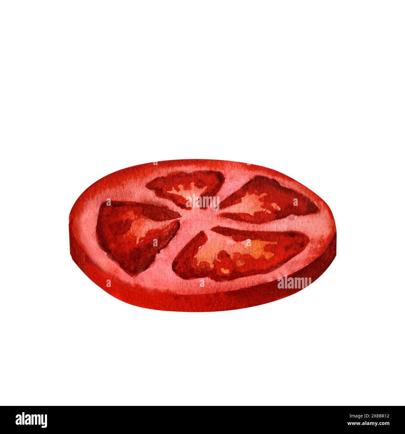 Cut slice tomato, watercolor illustration, isolated on white background ...