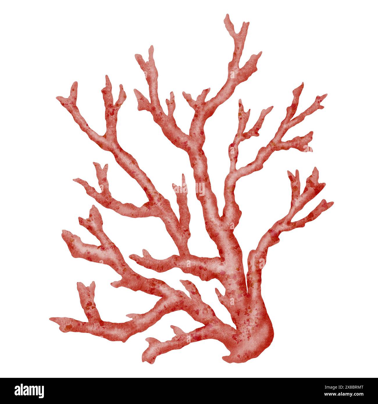 Red Seaweed, kelp painting in the ocean, watercolor hand painted ...