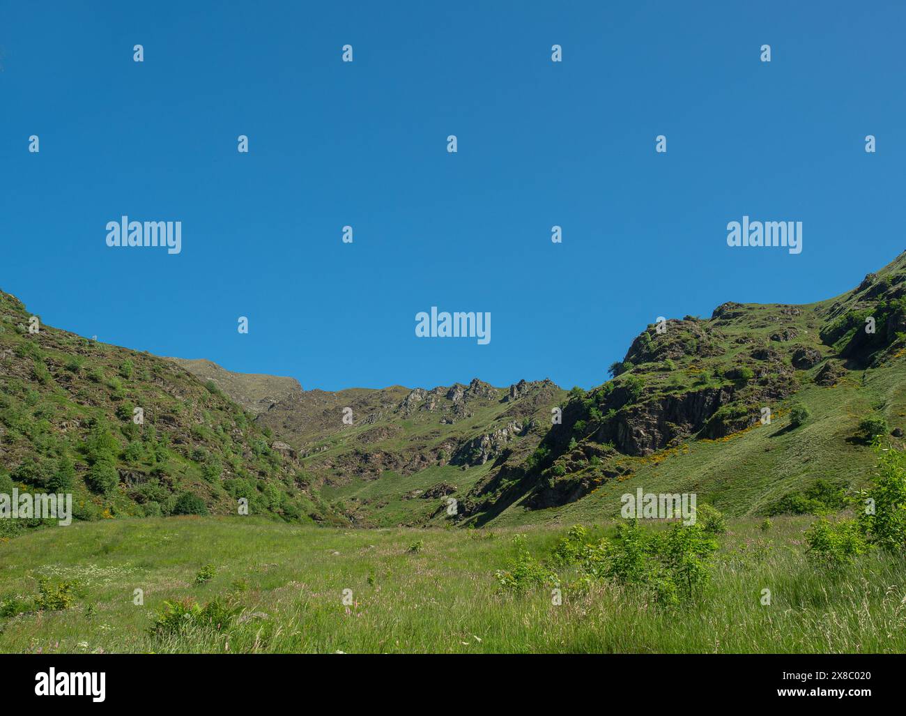 A peaceful green valley filled with a green grass field and trees ...