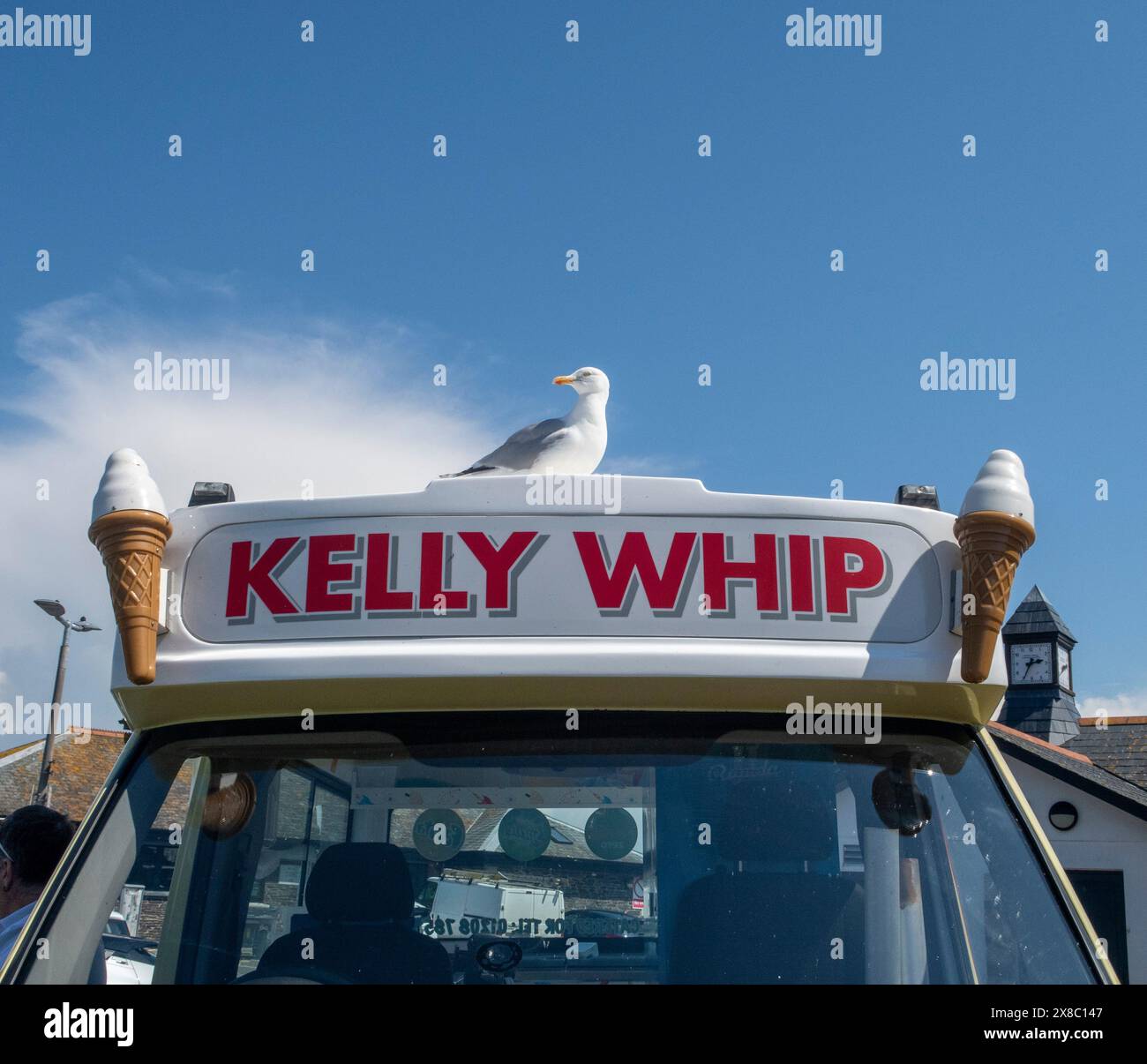 A seagull sits in wait on top of an icecream van in Padstow, Cornwall ...