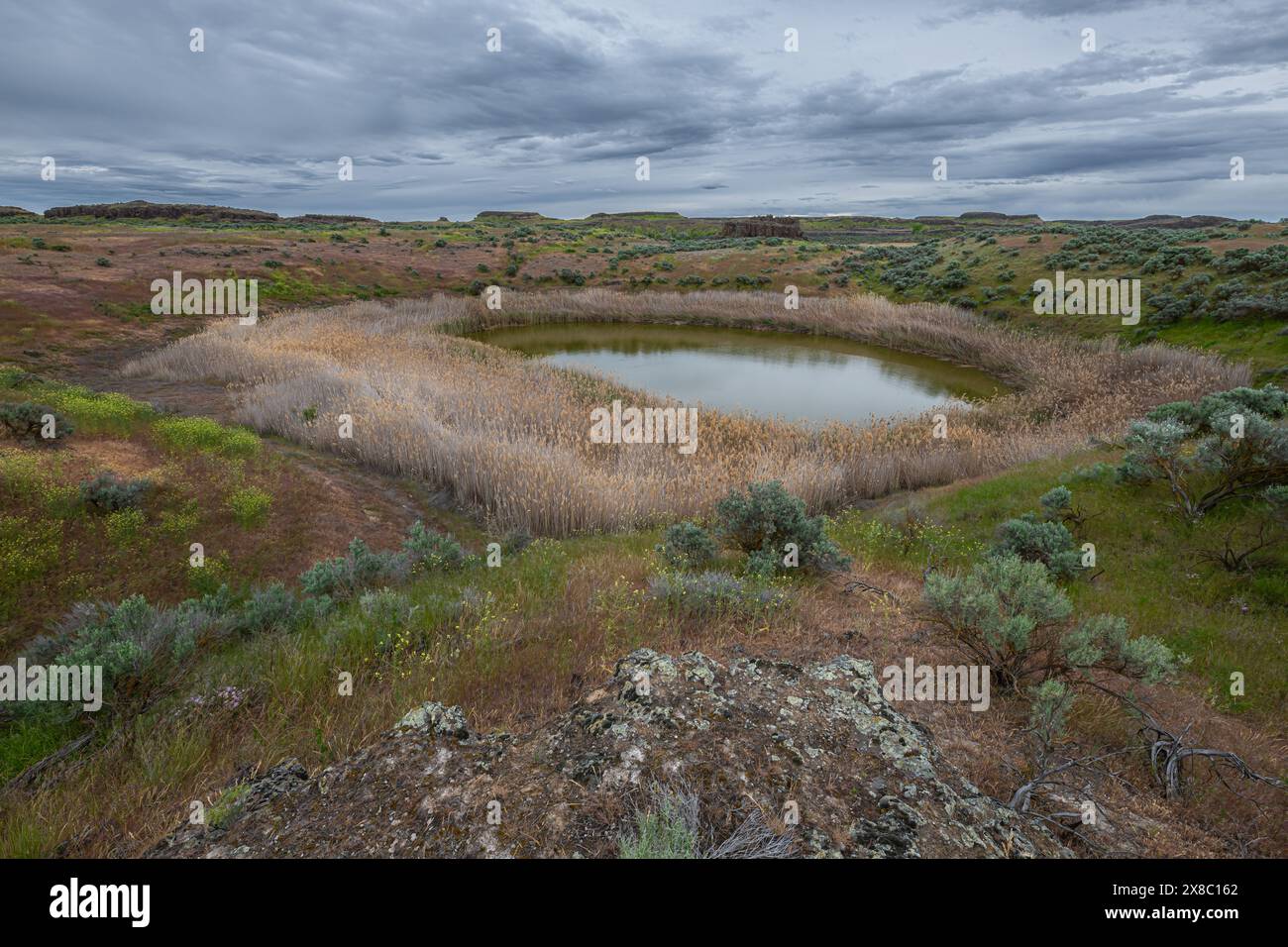 Pond in the Columbia National Wildlife Refuge, WA Stock Photo - Alamy