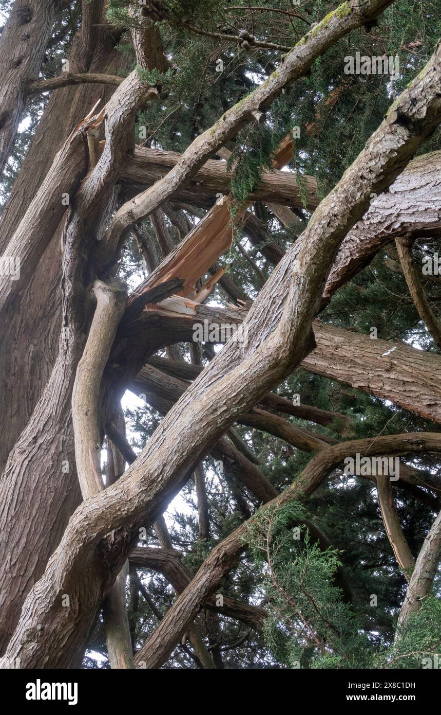 End of growth hi-res stock photography and images - Alamy