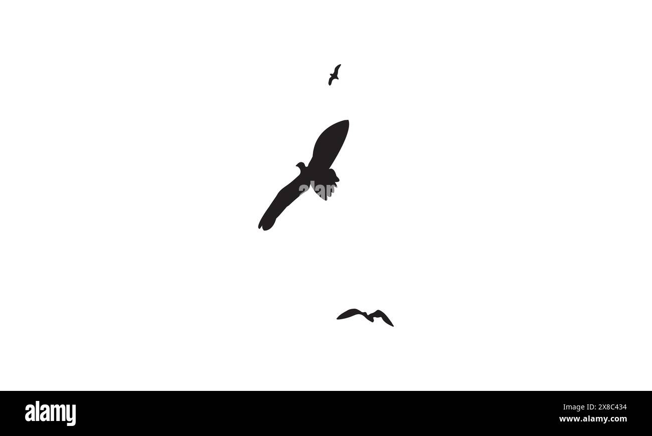 Flying Birds Vector And Illustration Stock Vector Image & Art - Alamy
