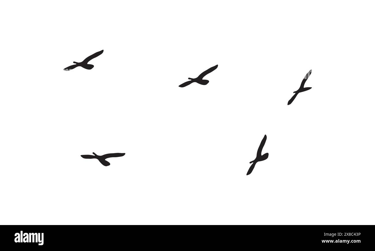 Flying Birds Vector And Illustration Stock Vector Image & Art - Alamy