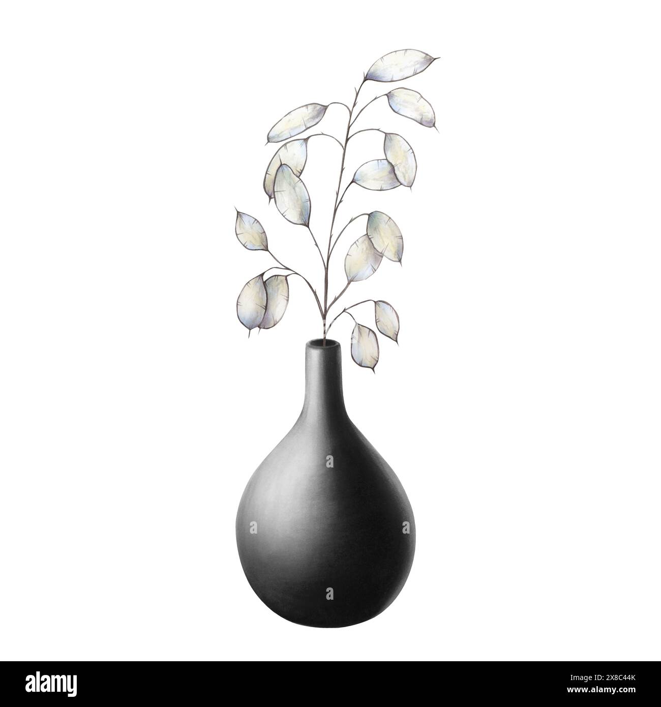 Black antique ceramic vase with lunaria branches. Watercolor hand drawn ...