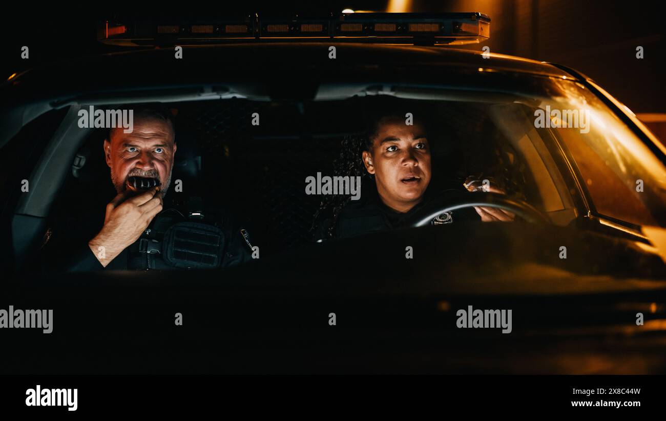 Point of View: Two Partnered Police Officers Spotting a Mugging in Dark ...