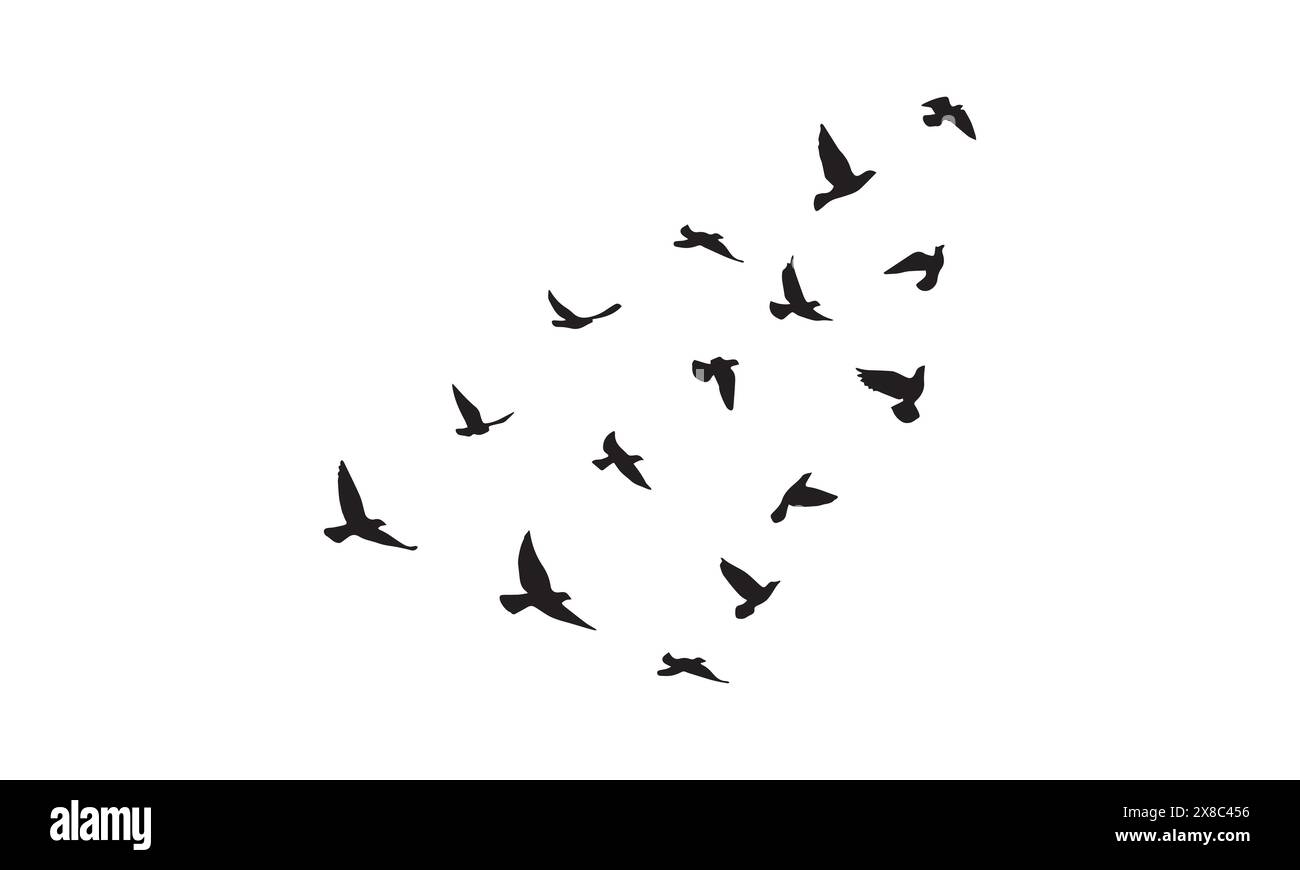 Flying Birds Vector And Illustration Stock Vector Image & Art - Alamy