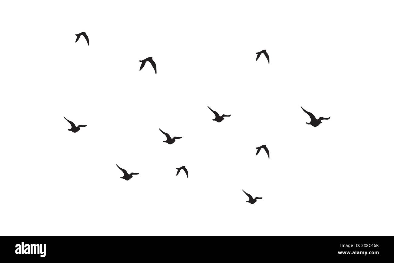 Vector silhouette flying birds Stock Vector Images - Alamy