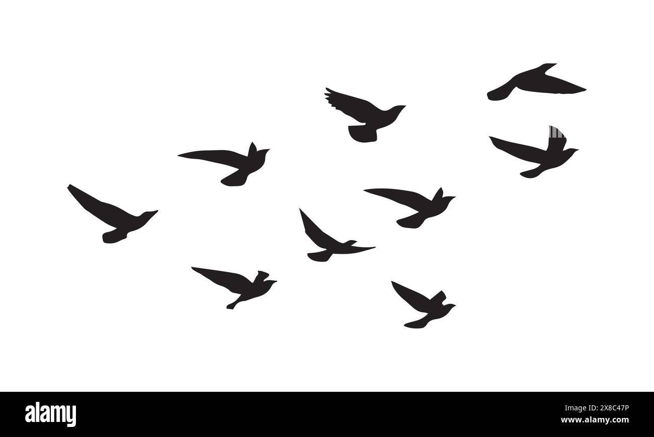 Flying Birds Vector And Illustration Stock Vector Image & Art - Alamy