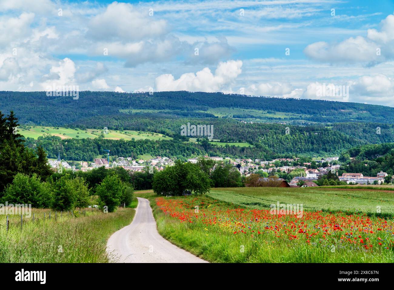 Switzerland, Baselland, Laufental, Laufen, Stedtli, Laufen BL ...
