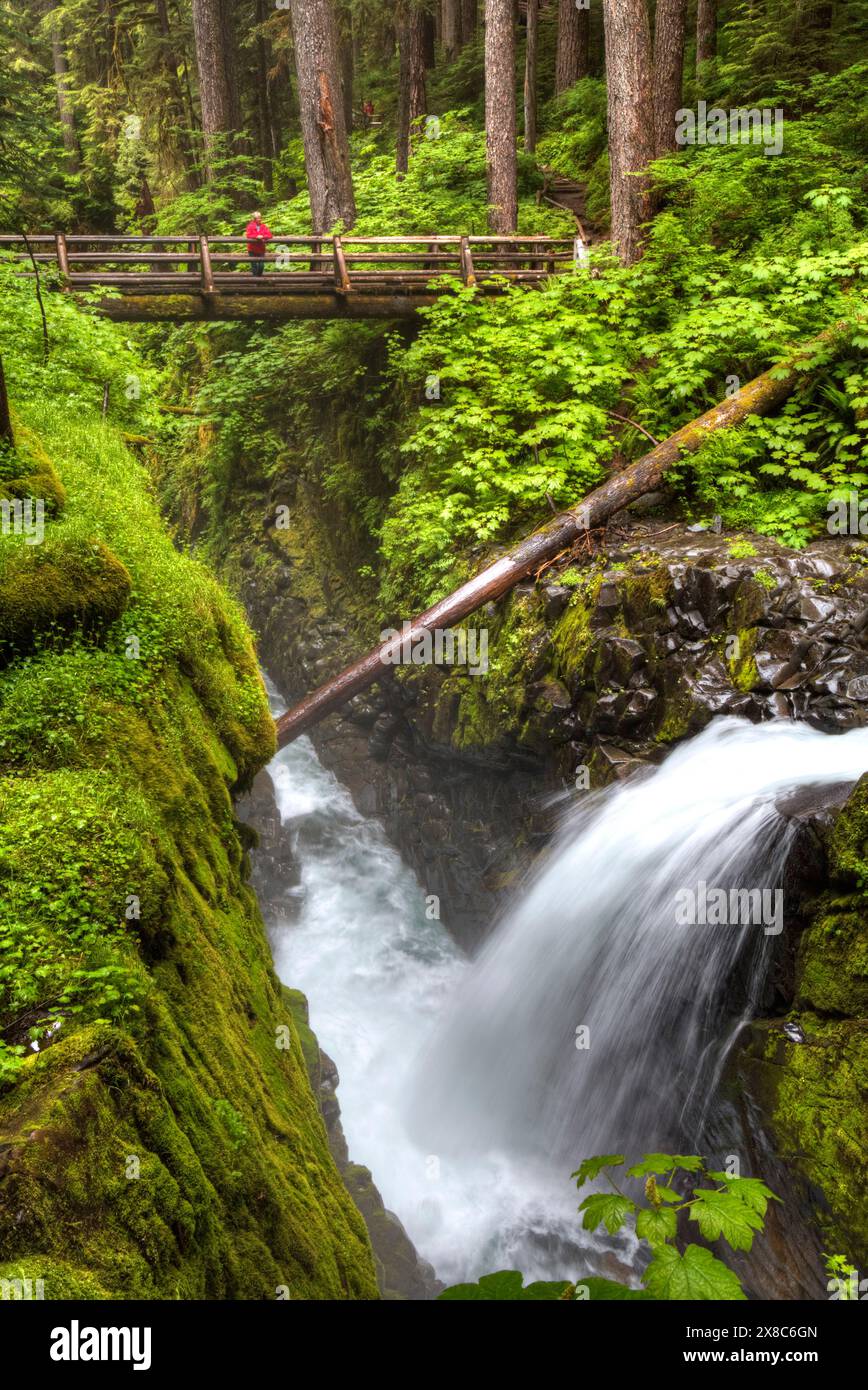Sol Duc Falls, Olympic National Park, UNESCO World Heritage Site ...