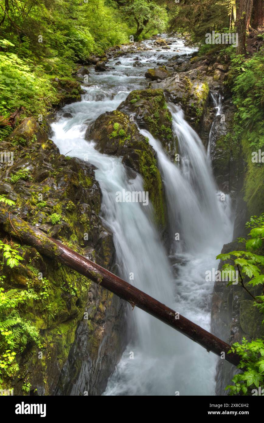 Sol Duc Falls, Olympic National Park, UNESCO World Heritage Site ...