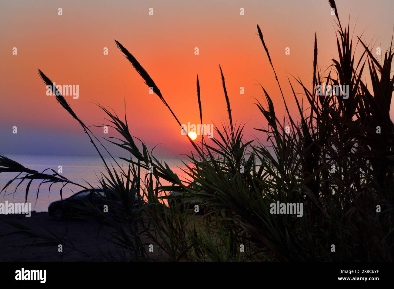 Malama beach and cyprus hi-res stock photography and images - Alamy