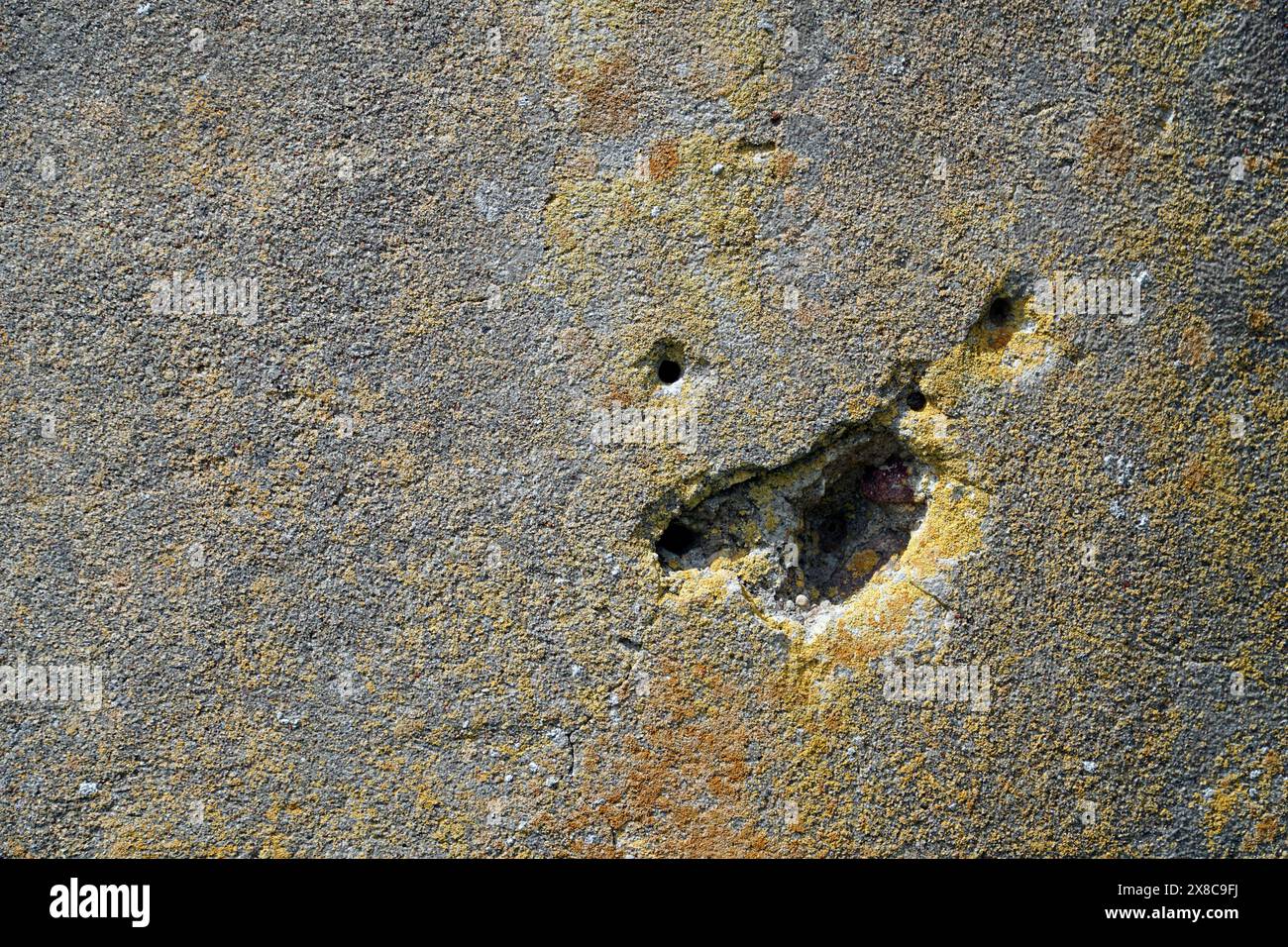 Bullet whole hi-res stock photography and images - Alamy