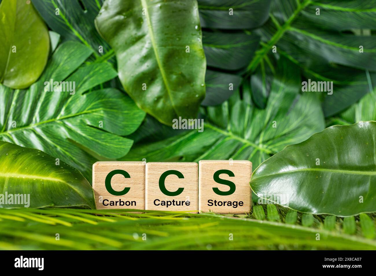Symbol CCS for Carbon Capture Storage words CCS on a wood cube on the ...
