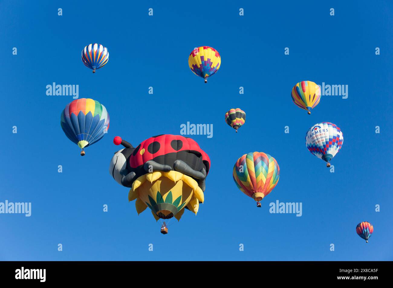 Hot Air Balloons with Special Shape Balloon "Annie the Lady Bug", 2015 ...
