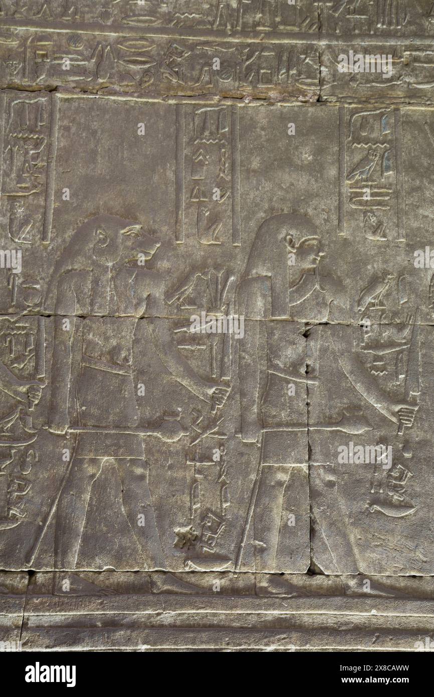 Relief of the God Maahes (left), Temple of Horus, Edfu, Egypt Stock ...