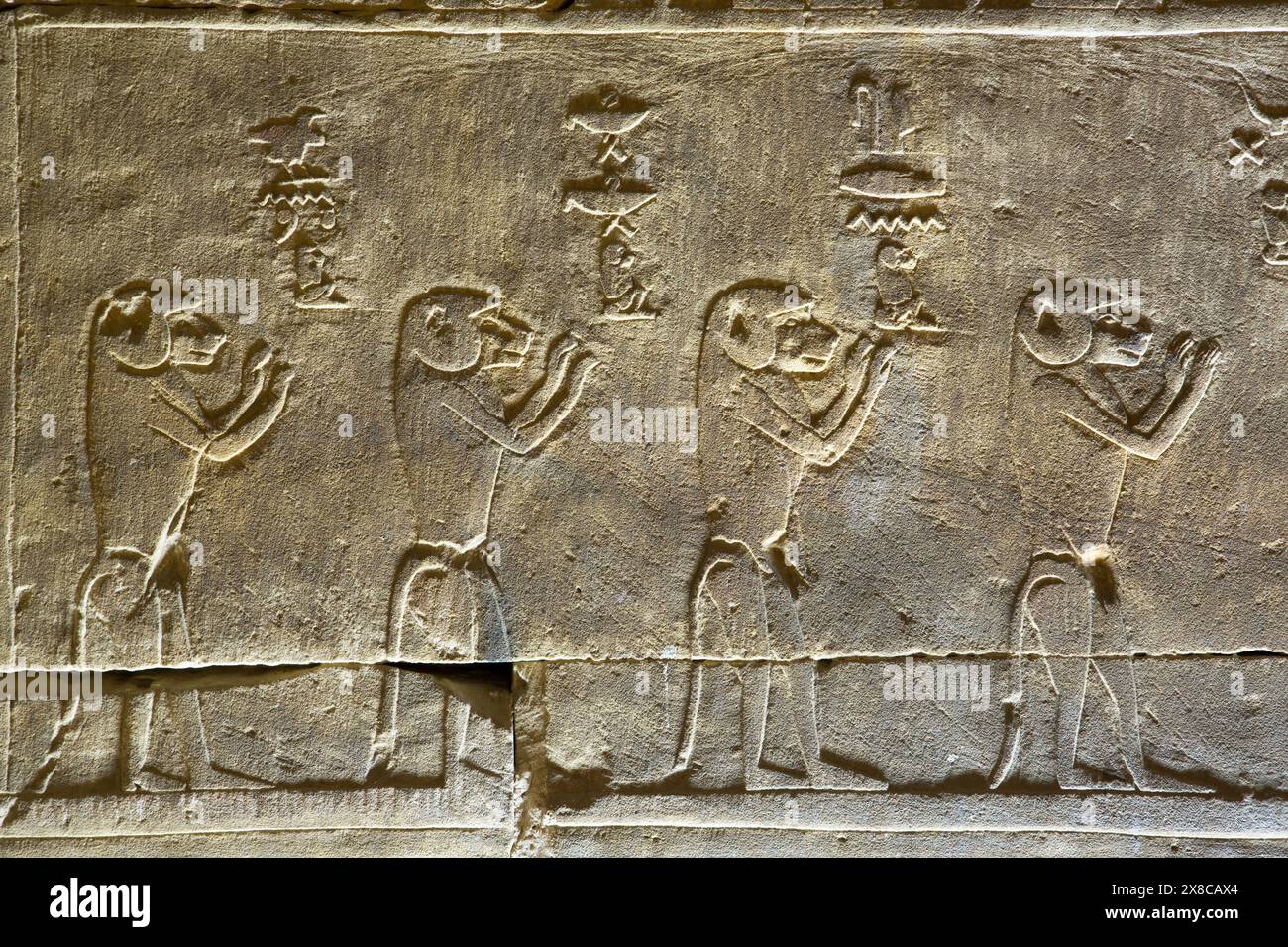 Relief Depicting Four Monkeys, Temple of Horus, Edfu, Egypt Stock Photo ...