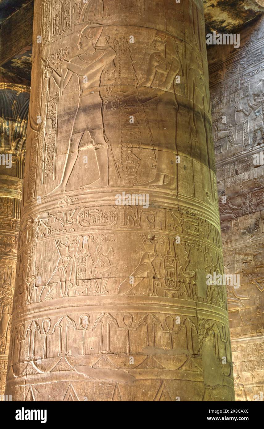 Tourist in hypostyle hall hi-res stock photography and images - Alamy