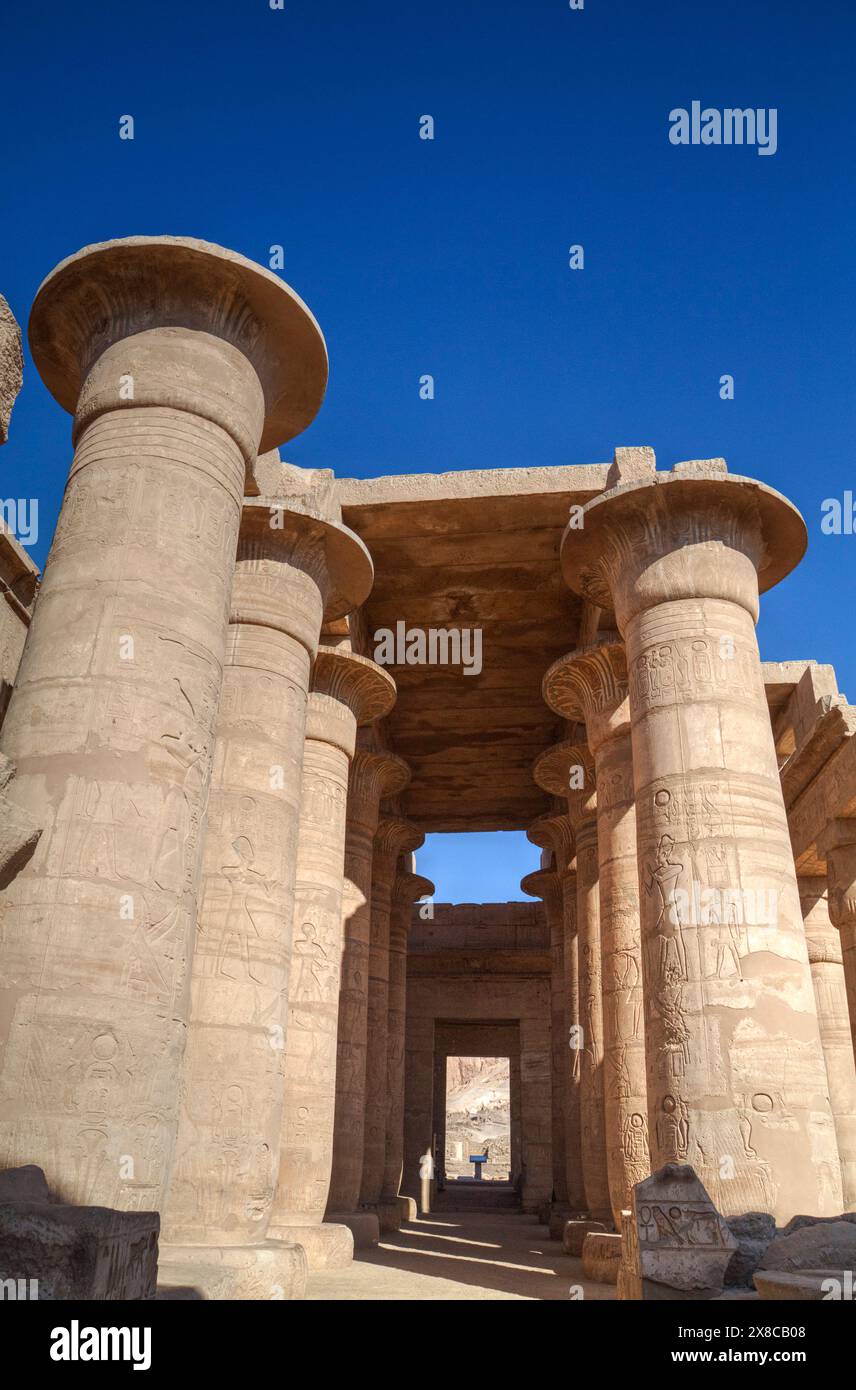 Column Reliefs, Hypostyle Hall, The Ramesseum (or Mortuary Temple of ...